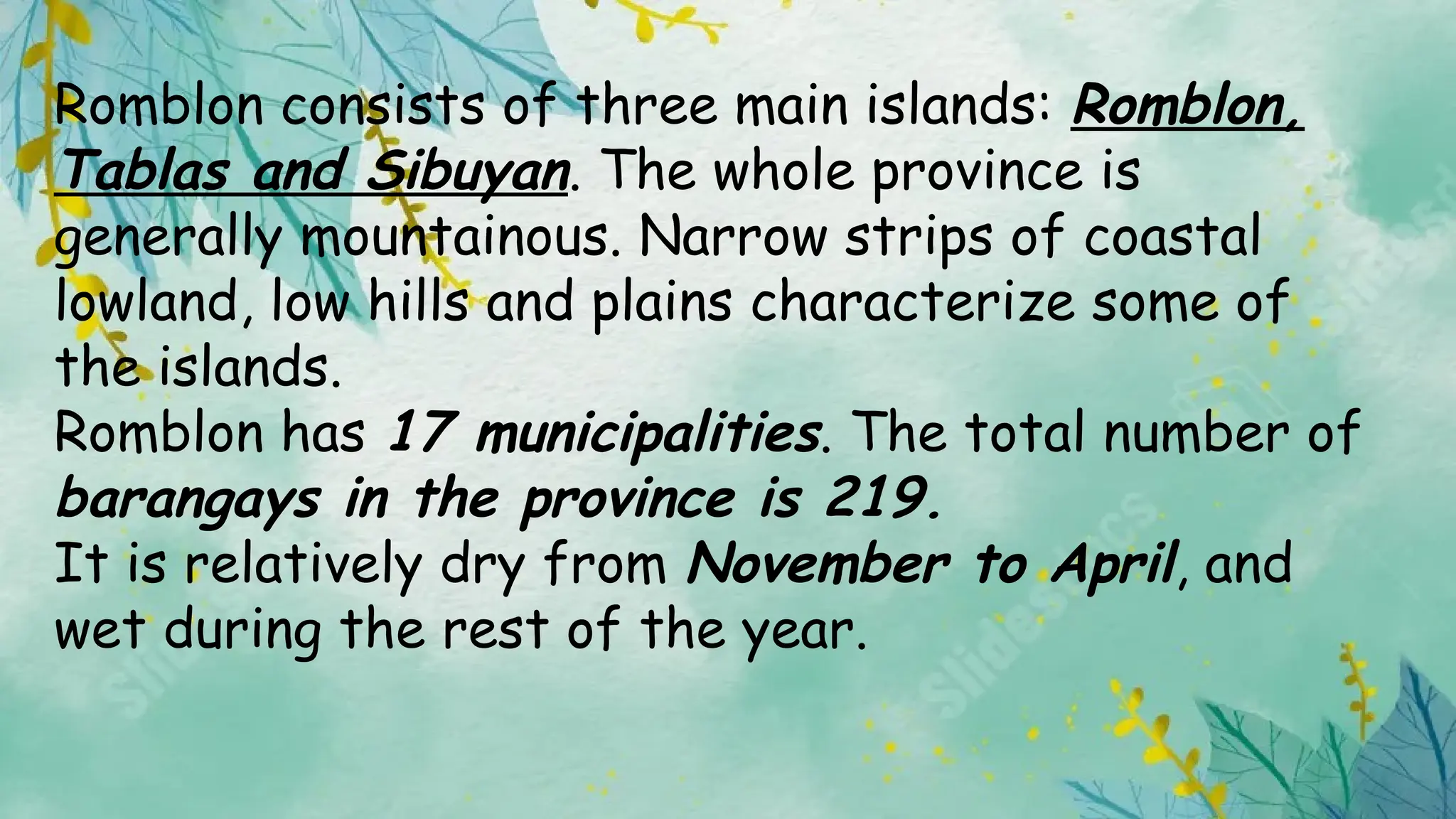 region in the Philippines MiMaRoPa lecture | PPTX
