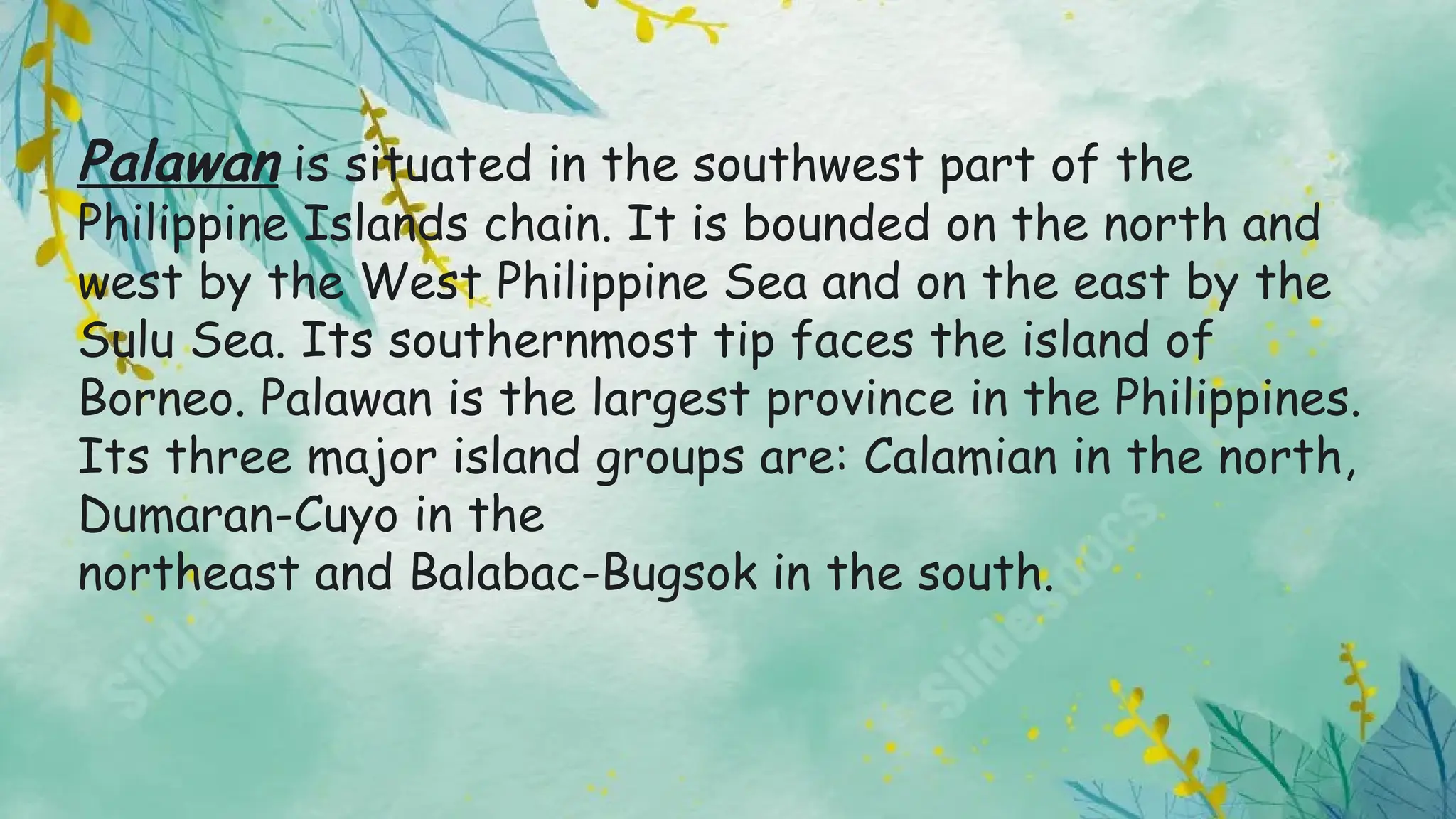 region in the Philippines MiMaRoPa lecture | PPTX