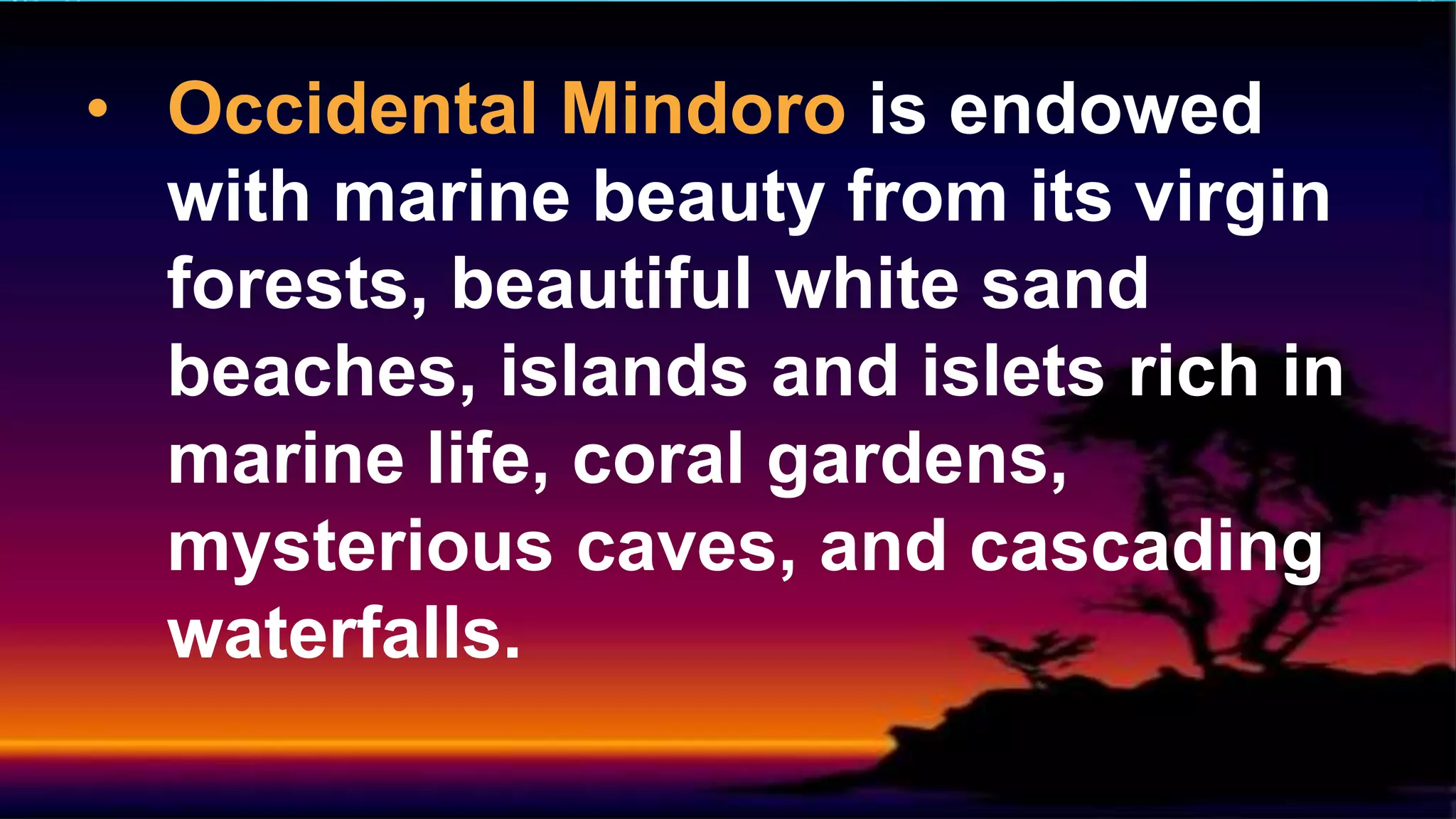 Region IV-B Mimaropa Geography | PPTX
