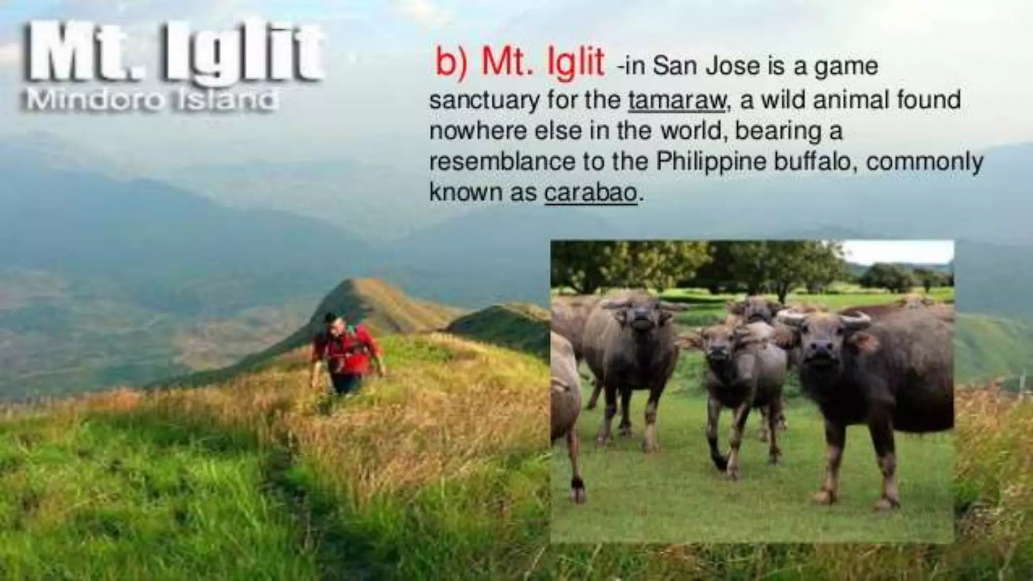 Region IV-B Mimaropa Geography | PPTX