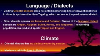 Region IV-B Mimaropa Geography | PPTX