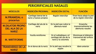 MUSCULOS DE LA MIMICA | PPTX