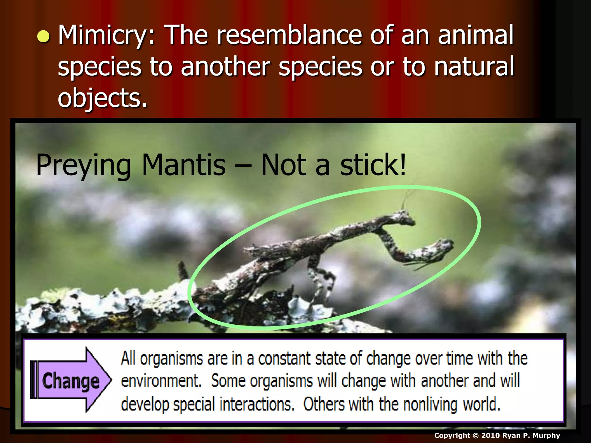 Mimicry Lesson PowerPoint, Animals, Environment, | PPTX