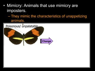Mimicry Lesson PowerPoint, Animals, Environment, | PPTX