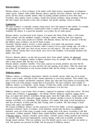 Mimicry | DOCX
