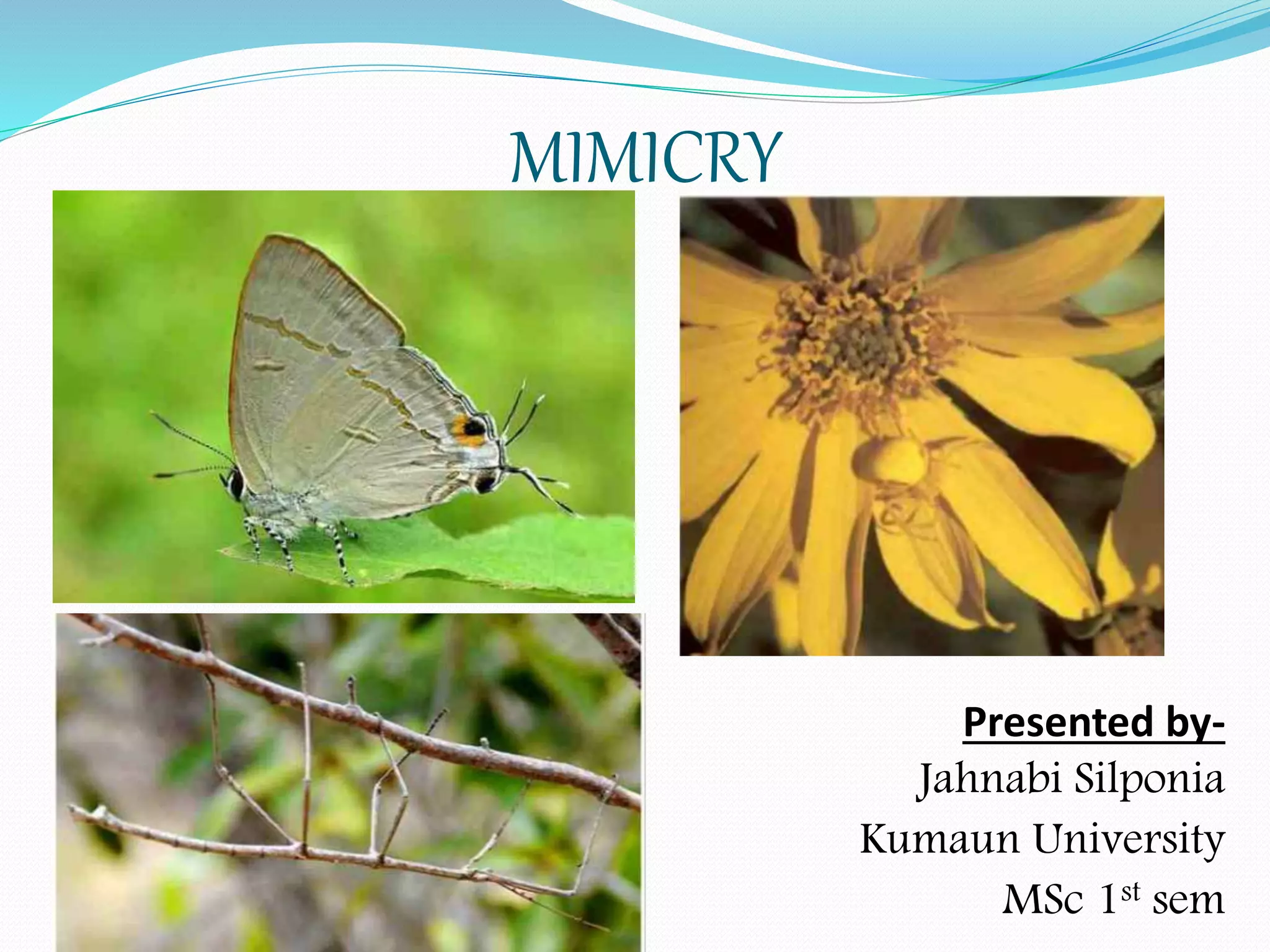 Mimicry (Evolutionary Biology) | PPTX