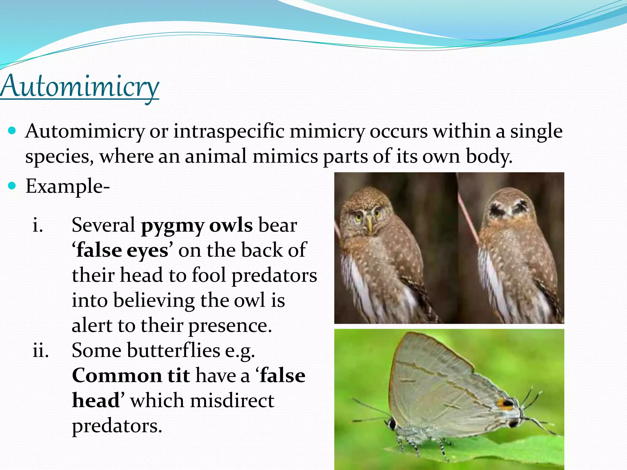 Mimicry (Evolutionary Biology) | PPTX