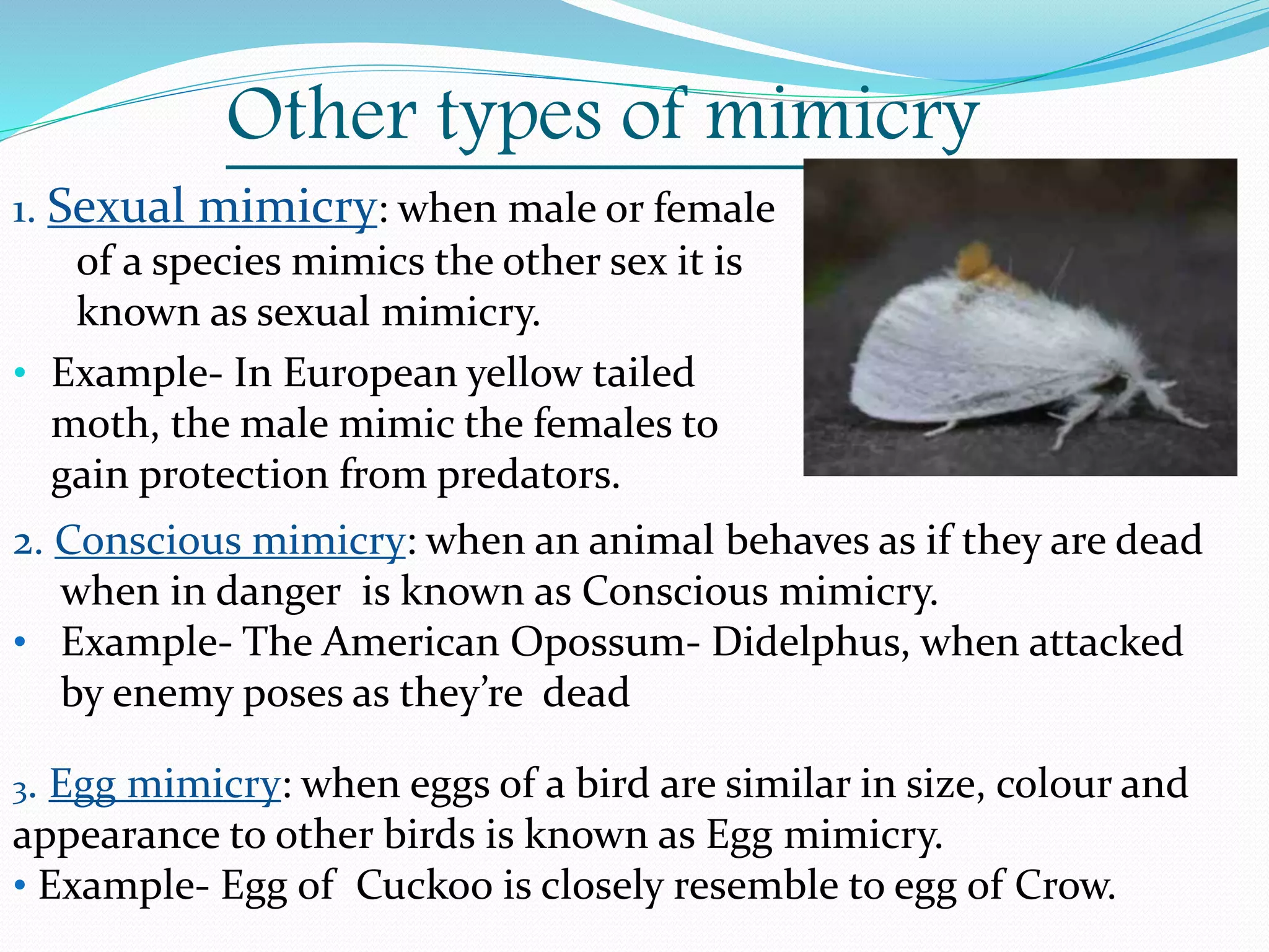 Mimicry (Evolutionary Biology) | PPTX
