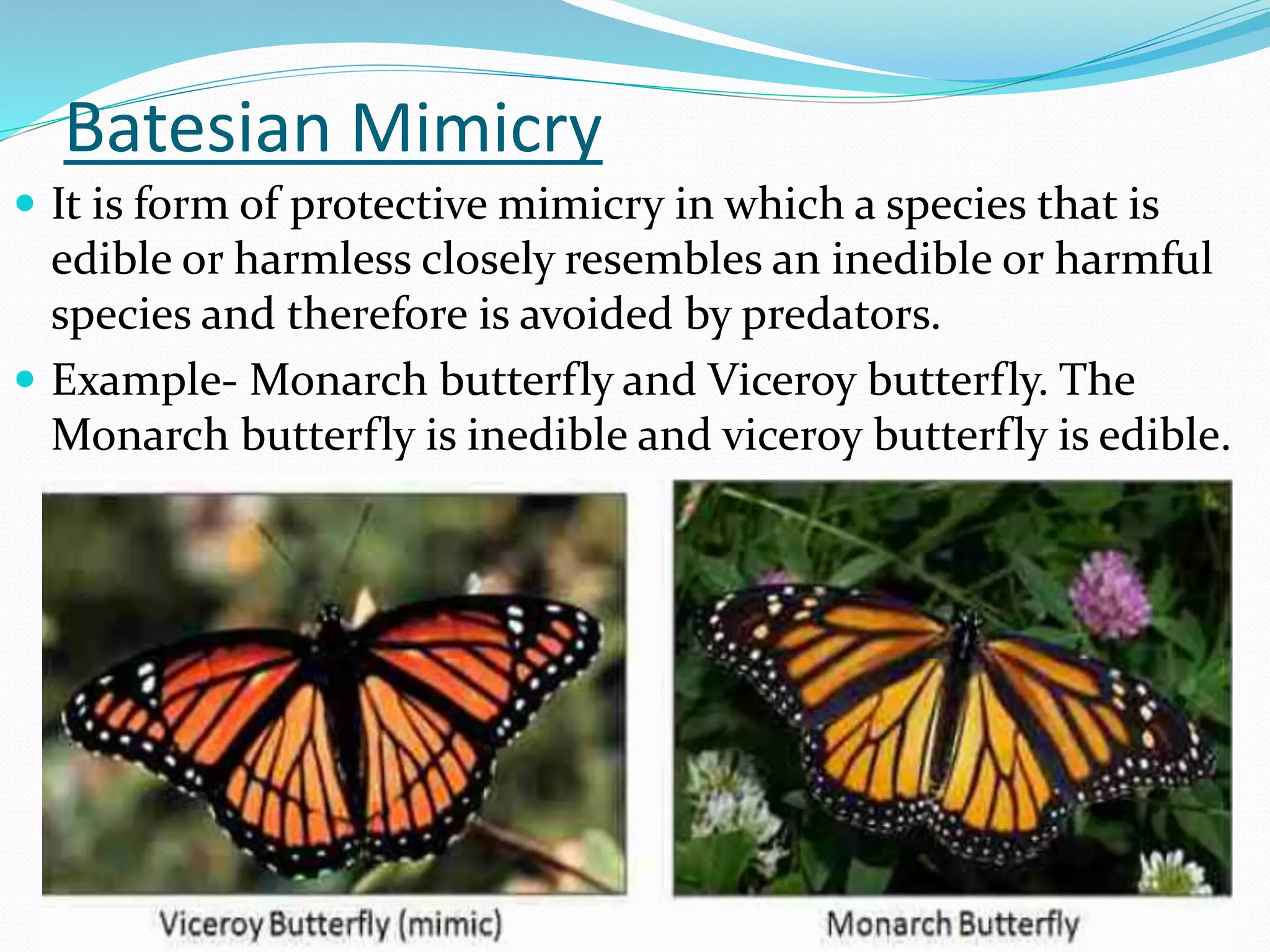 Mimicry (Evolutionary Biology) | PPTX