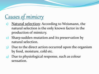 Mimicry (Evolutionary Biology) | PPTX | Reptiles | Pets
