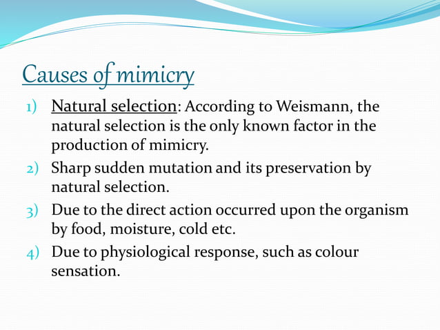 Mimicry (Evolutionary Biology) | PPTX | Reptiles | Pets