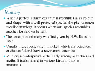 Mimicry (Evolutionary Biology) | PPTX | Reptiles | Pets