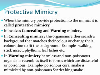 Mimicry (Evolutionary Biology) | PPTX | Reptiles | Pets