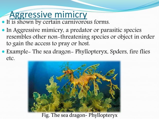 Mimicry (Evolutionary Biology) | PPTX | Reptiles | Pets