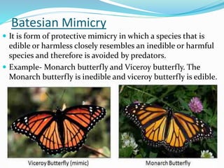 Mimicry (Evolutionary Biology) | PPTX