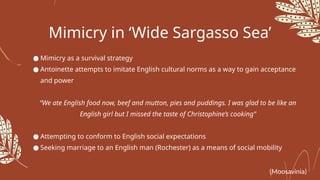 Almost the Same, But Not Quite: Analysing Mimicry in 'Wide Sargasso Sea ...