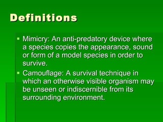 Mimicry and camouflage | PPT