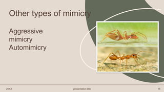 Mimicry in insects (gak).pptx
