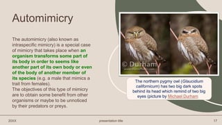 Mimicry in insects (gak).pptx