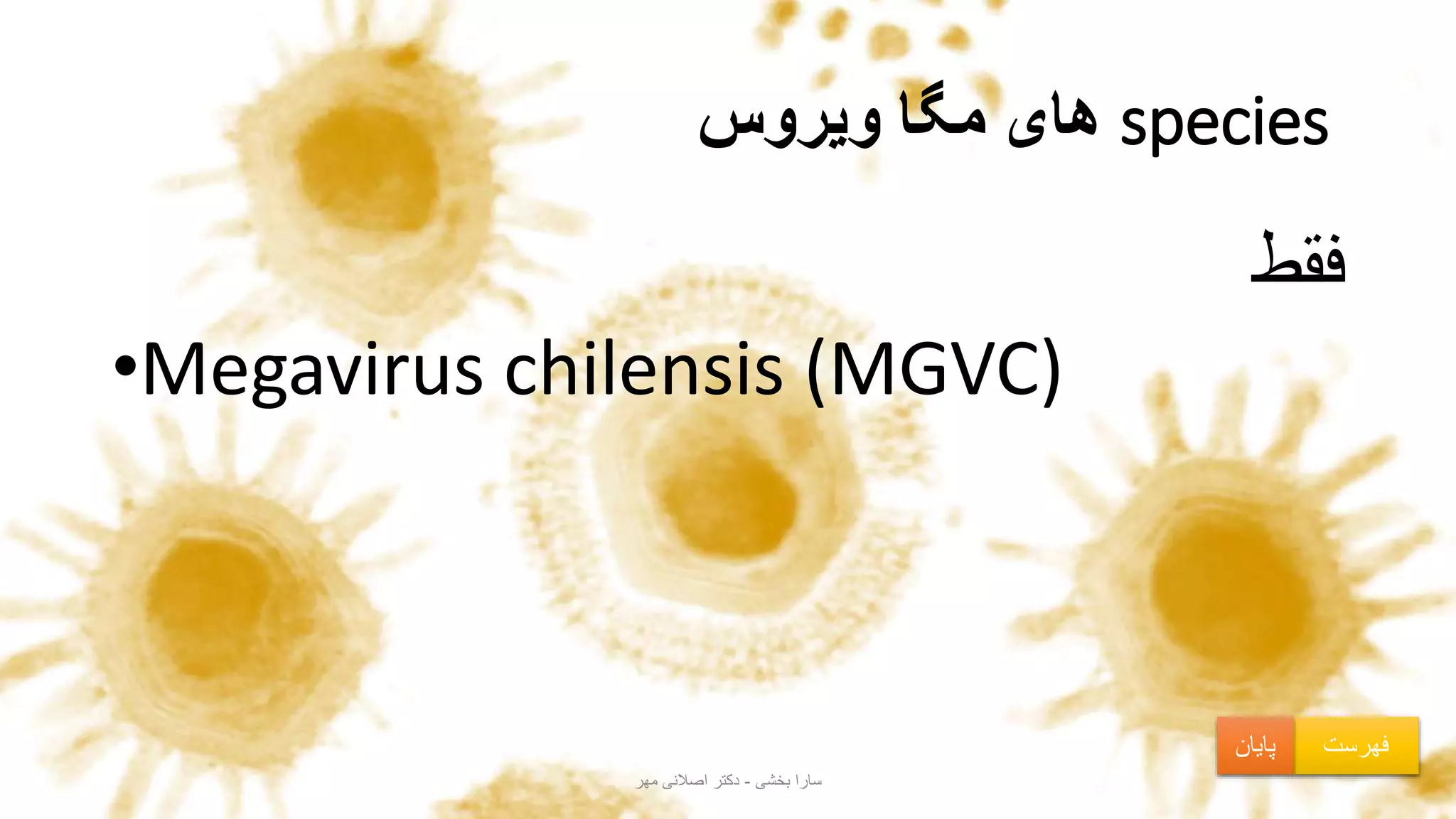 Virology - Mimivirus and Megavirus | PPTX