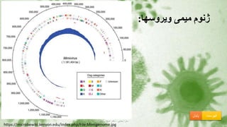 Virology - Mimivirus and Megavirus | PPTX