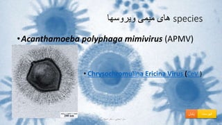 Virology - Mimivirus and Megavirus | PPTX