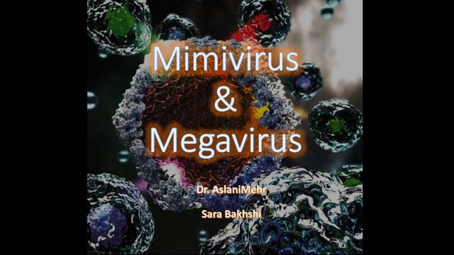 Virology - Mimivirus and Megavirus