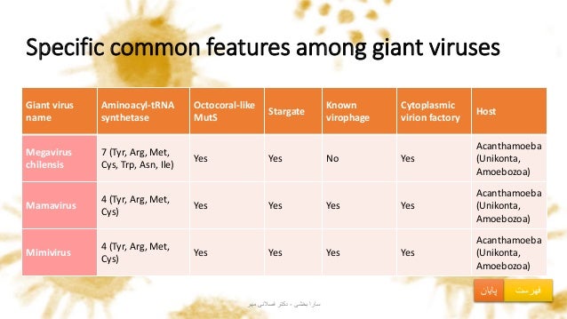 Virology - Mimivirus and Megavirus