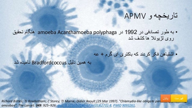 Virology - Mimivirus and Megavirus