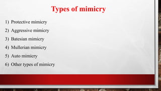 Mimmicry | PPTX