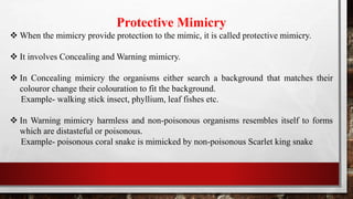 Mimmicry | PPTX