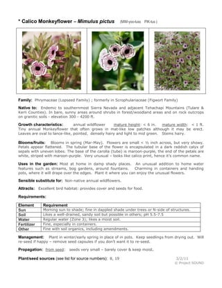 Mimulus pictus | PDF