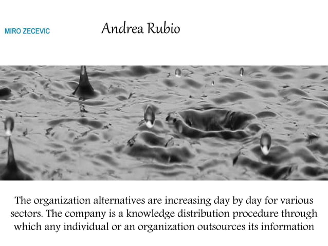 Mina mar group | PPTX