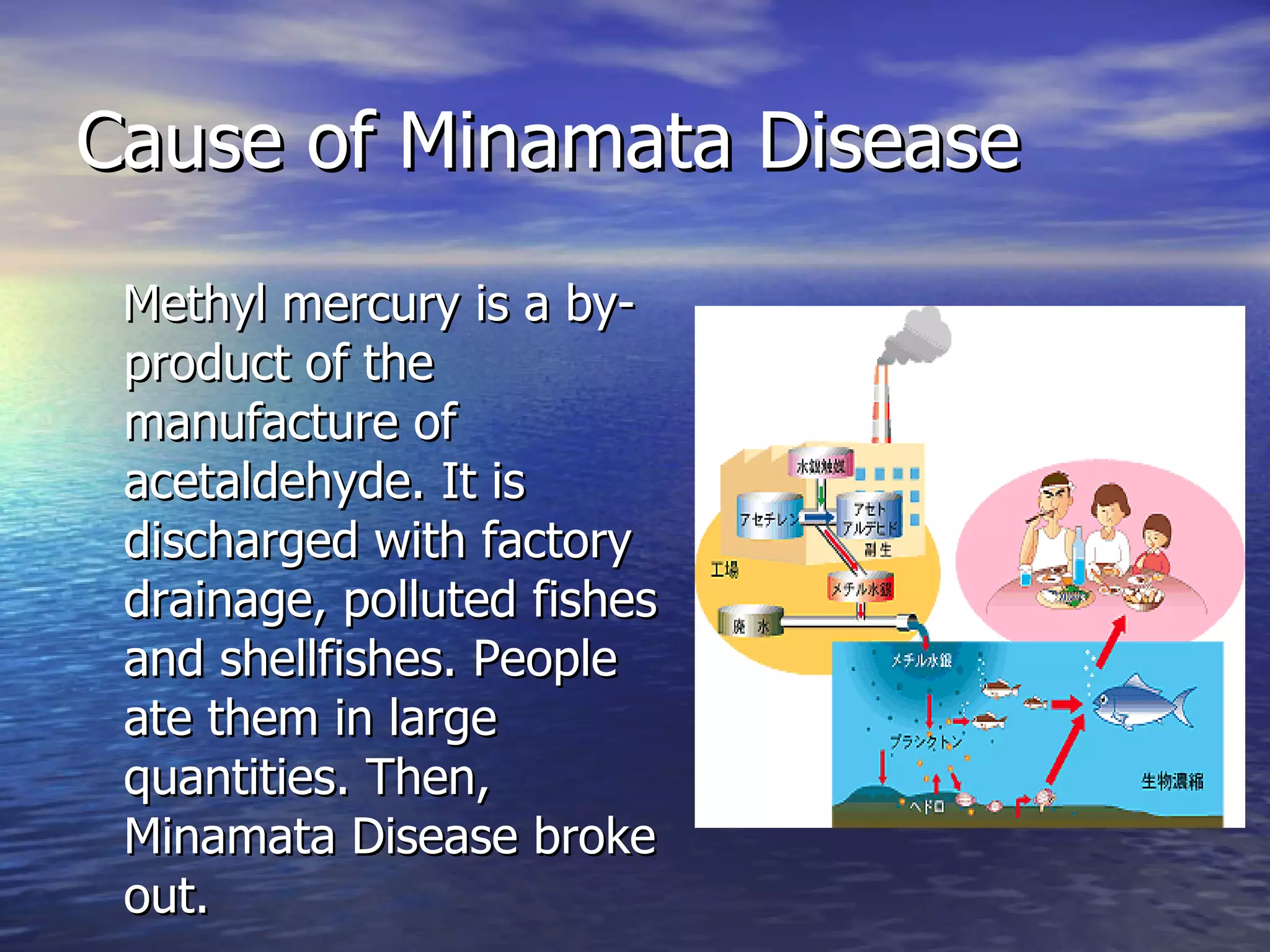 Minamata Disease | PPT