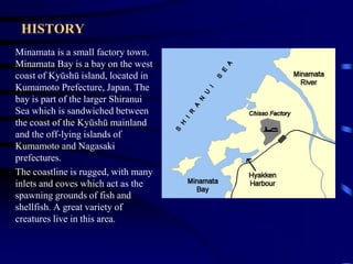 Minamata bay | PPT
