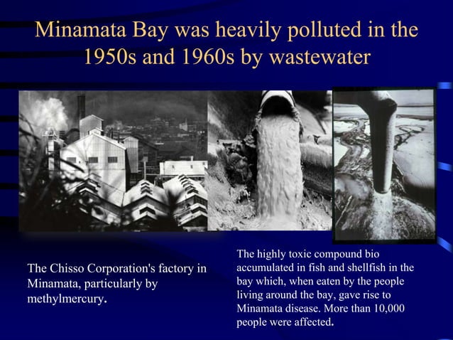 Minamata bay | PPT