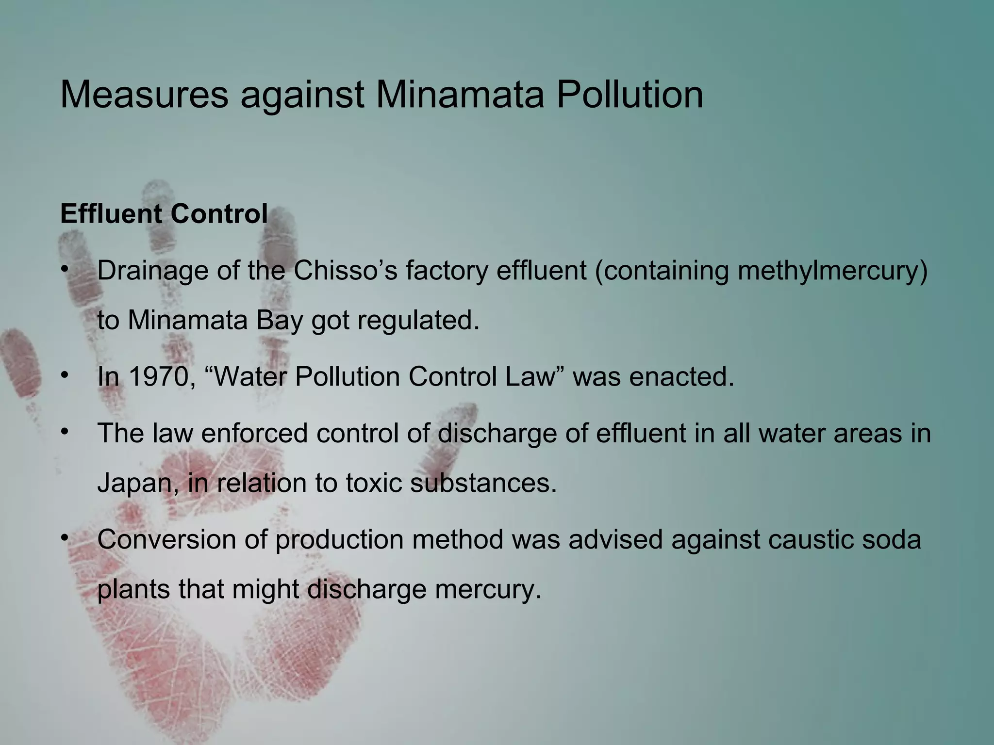Minamata disaster | PPT