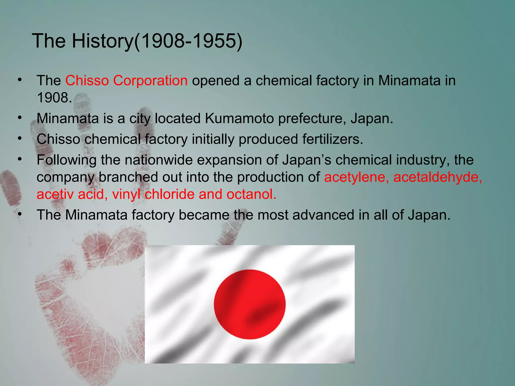 Minamata disaster | PPT