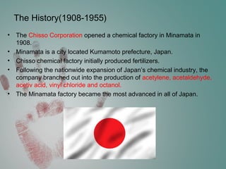 Minamata disaster | PPT
