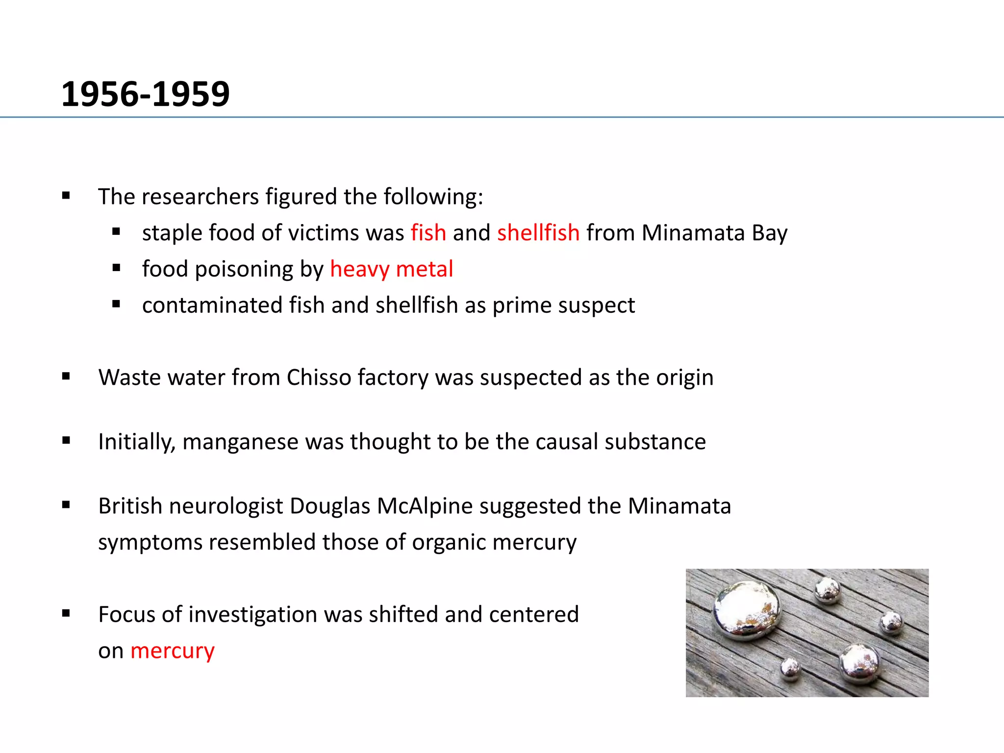 Minamata Mercury Pollution | PDF