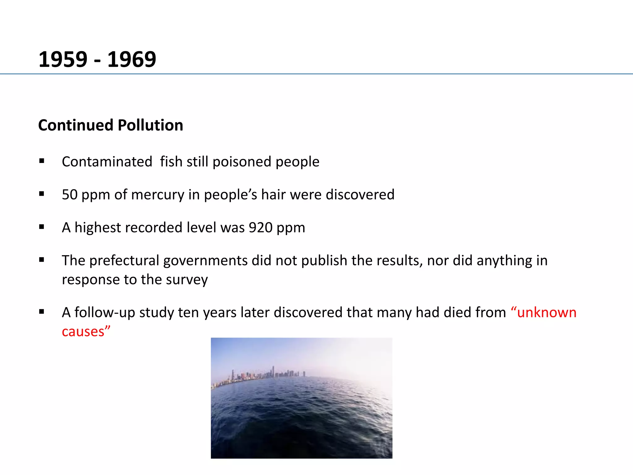 Minamata Mercury Pollution | PDF