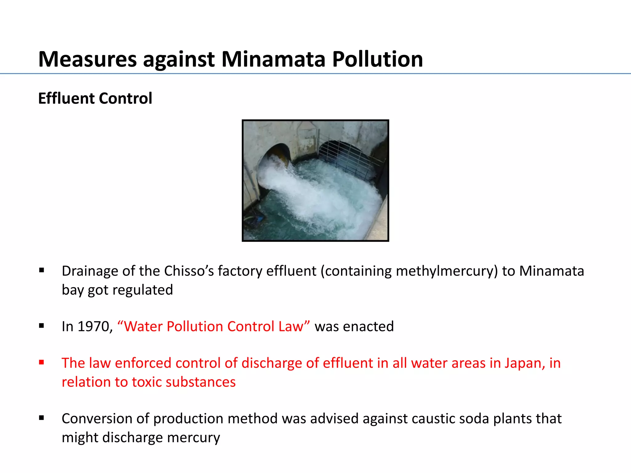 Minamata Mercury Pollution | PDF
