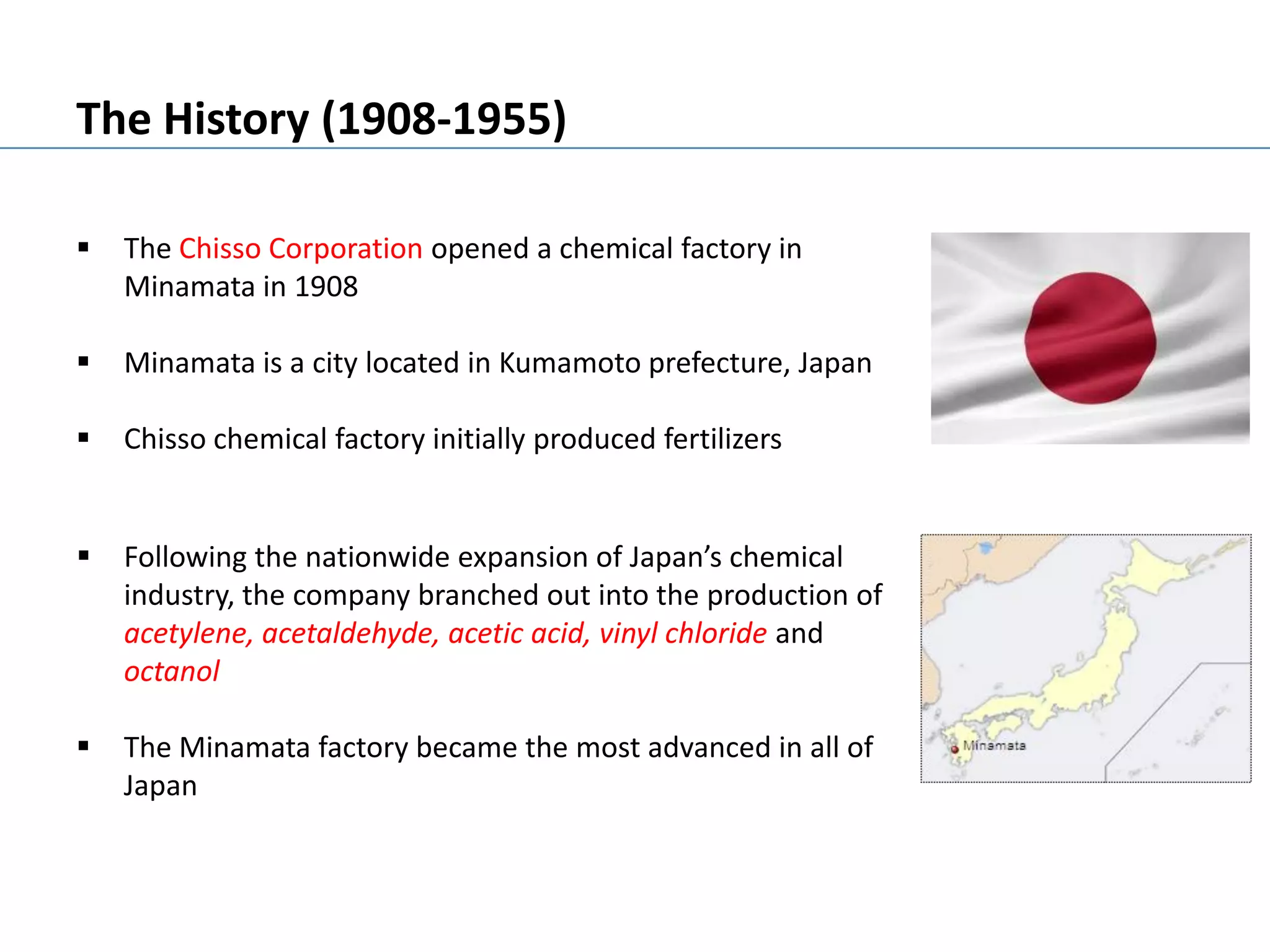Minamata Mercury Pollution | PDF