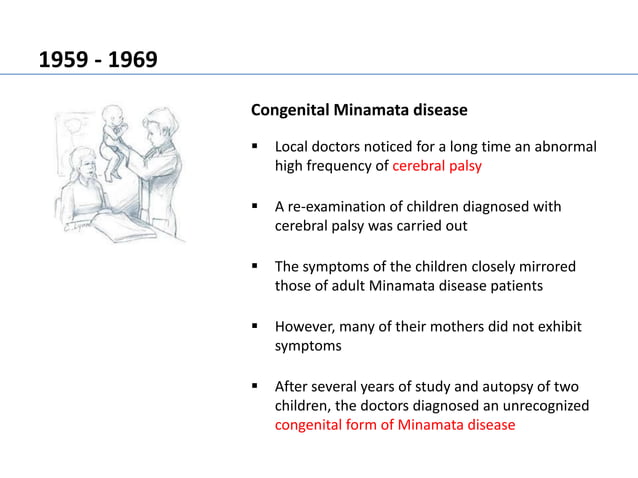 Minamata Mercury Pollution | PDF