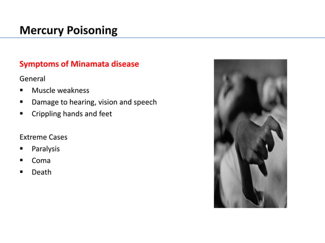 Minamata Mercury Pollution | PDF