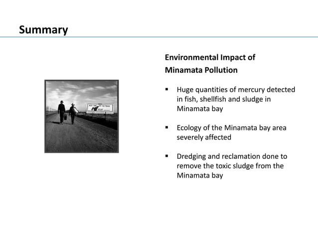 Minamata Mercury Pollution | PDF