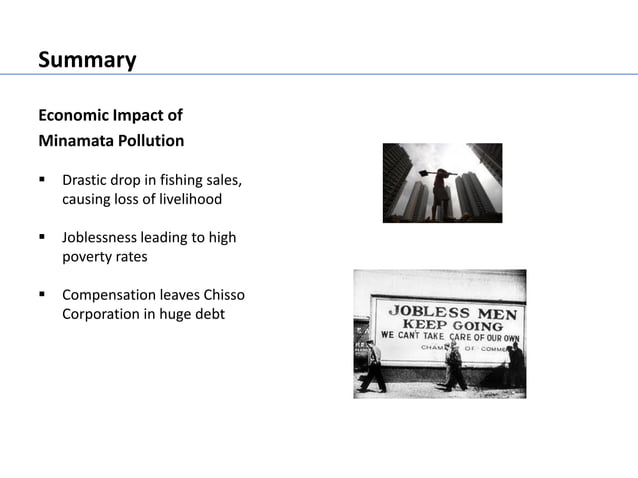 Minamata Mercury Pollution | PDF