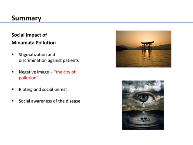 Minamata Mercury Pollution | PDF