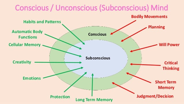 Mind body connection.PDF