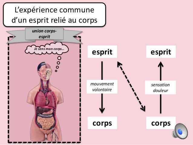 Le problème corps esprit chez Descartes et autres